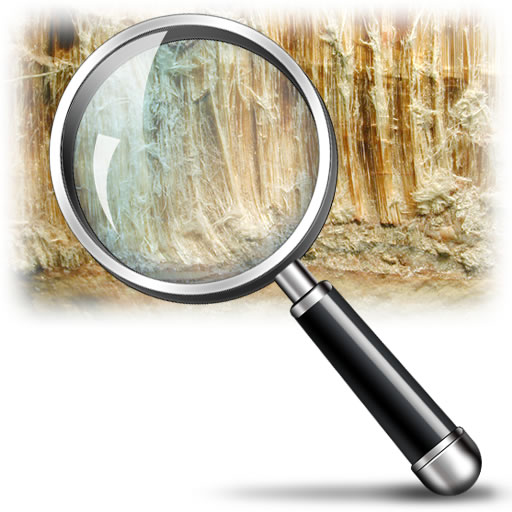 Asbestos Inspections – Allied Asbestos Inspectors